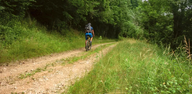 Grande Traversée du Rhône by mountain bike: Col de la Croix de l'Orme / Oingt